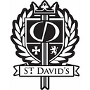 St Davids Capital Gewinn 2026 | CA78927W1059 | SDCI.P.V | Eulerpool