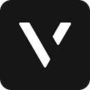 Vise - Company Profile